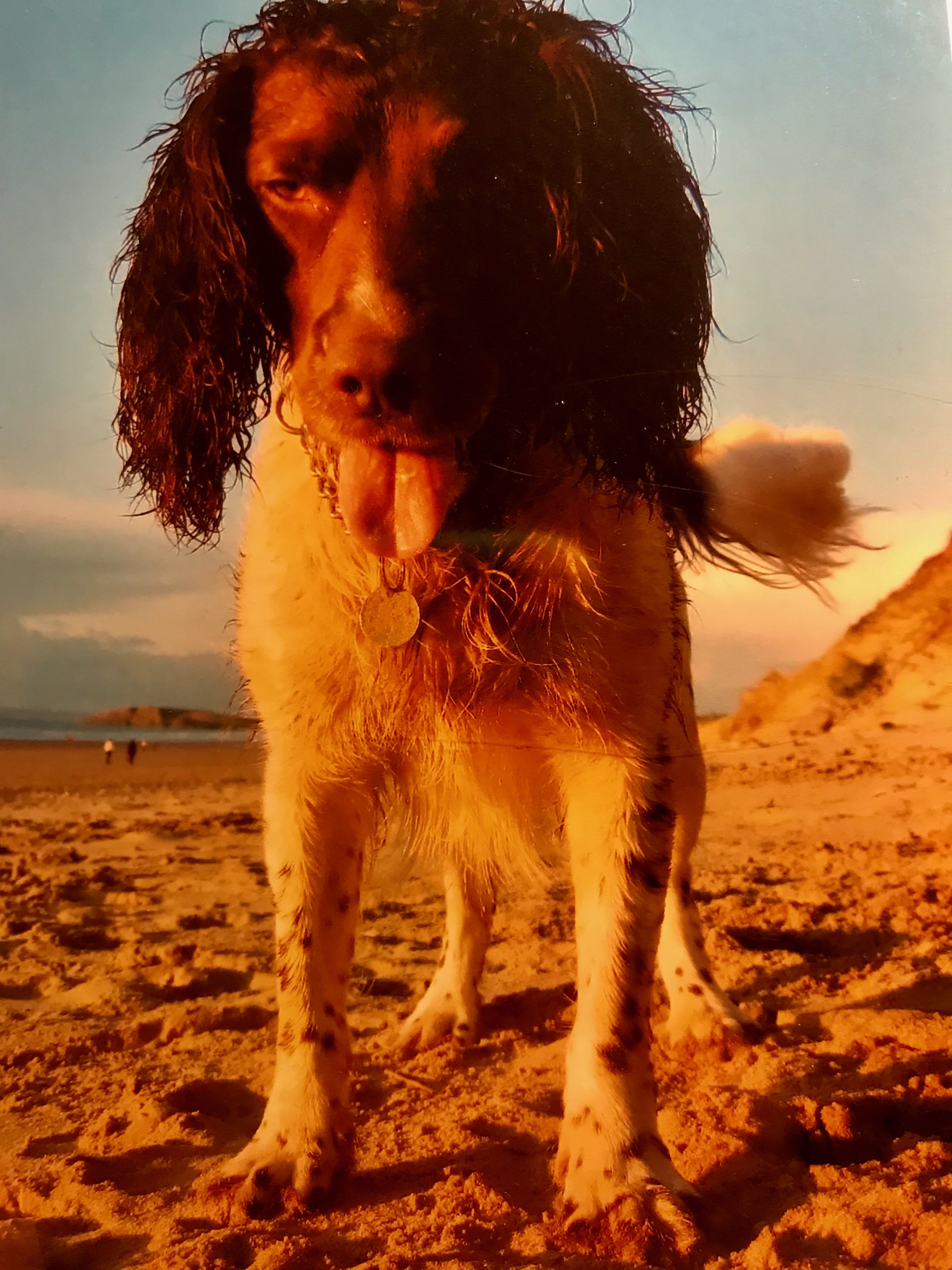 Prose by Richard Gwyn – Modron Magazine