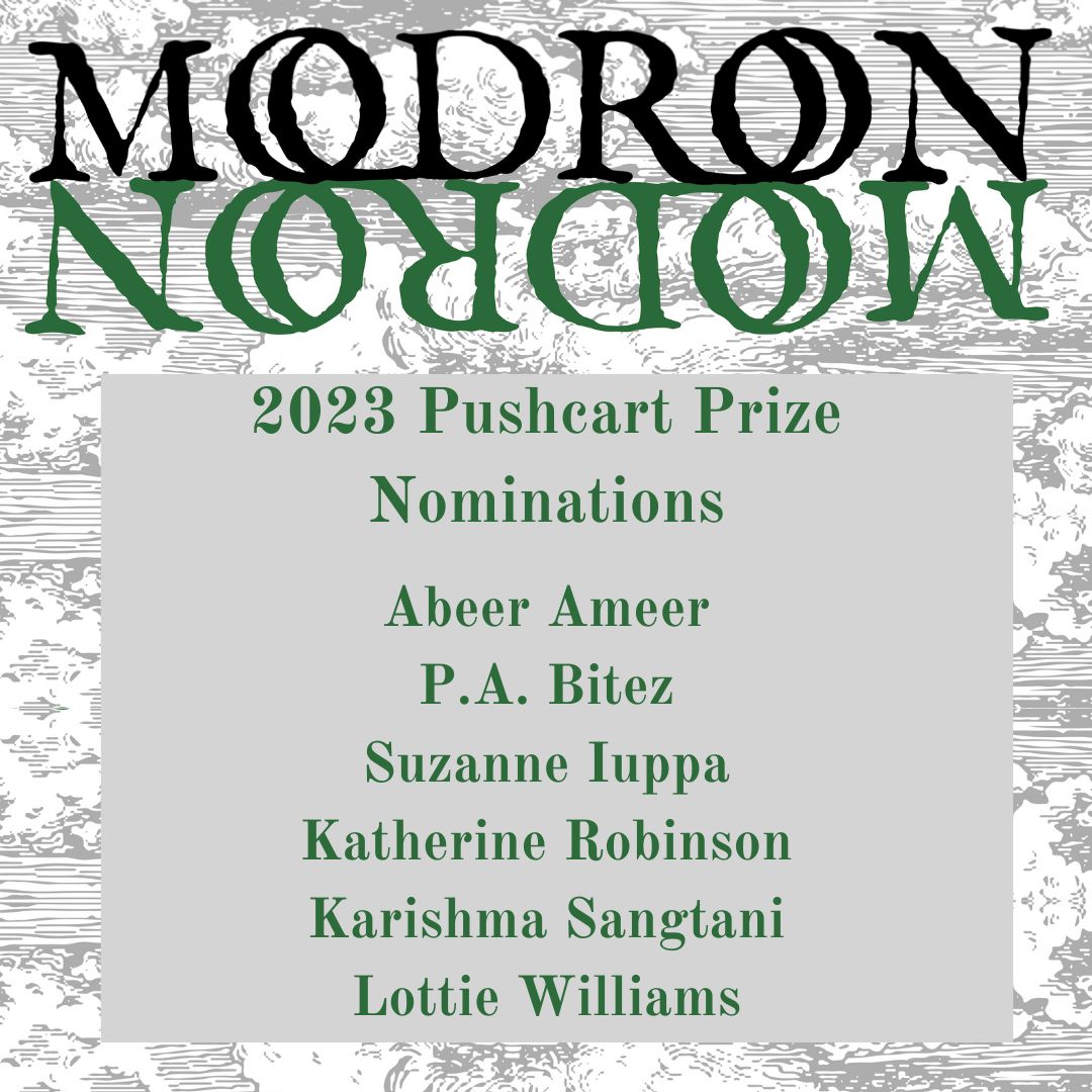 MODRON ISSUE 3 coming soon & 2023 Pushcart Prize Nominations – Modron ...