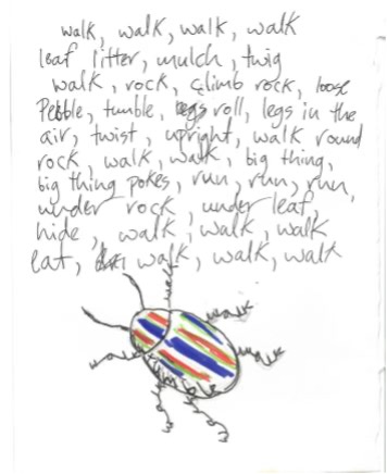 A Community Article By Eve Ruet on Fostering Empathy with Endangered ...