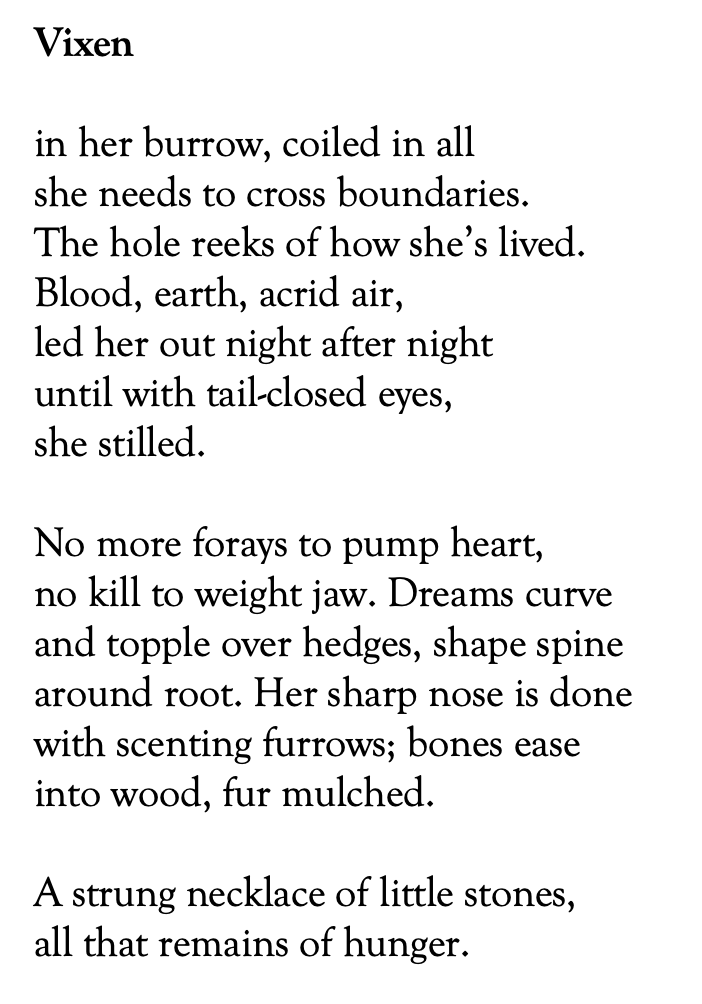 Two Poems About Foxes by Corinna Board & Amanda Rackstraw – Modron Magazine