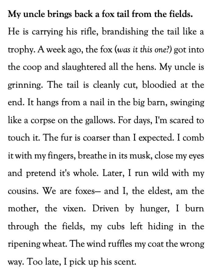 Two Poems About Foxes by Corinna Board & Amanda Rackstraw – Modron Magazine