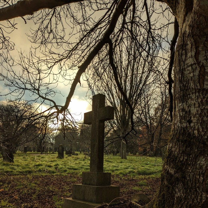 Plots & Plants: Rachel Carney Explores Cathays Cemetery in Cardiff ...